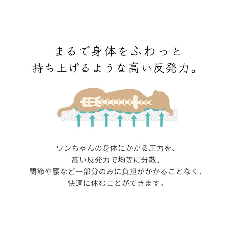 OFT (OFTバーゲン~9/11) 洗えるペットマット クッションエアー S (犬ベッド ペット 健康 清潔 犬 イヌ 老犬 足腰 反発 ベッド 丸洗い 介護 マット) : OFT ...