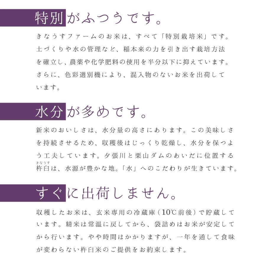 ゆめぴりか 無洗米 5kg 新米 特別栽培米 農家直送 令和7年 2025 特A 北海道産 米 送料無料 : 北海道の美食逸品イランカラプテ ...