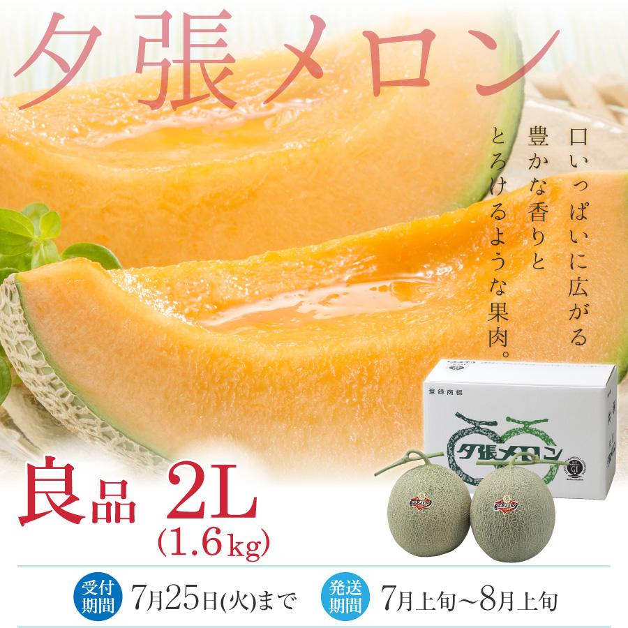 夕張メロン 良品 大玉 2L(約1.6kg) 2玉 共撰 夕張農協 合格品 共撰 大玉 良品 夕張メロン おすすめ品 送料無料 :10000021-y:北海道の美食逸品イランカラプテ - 通販 ...
