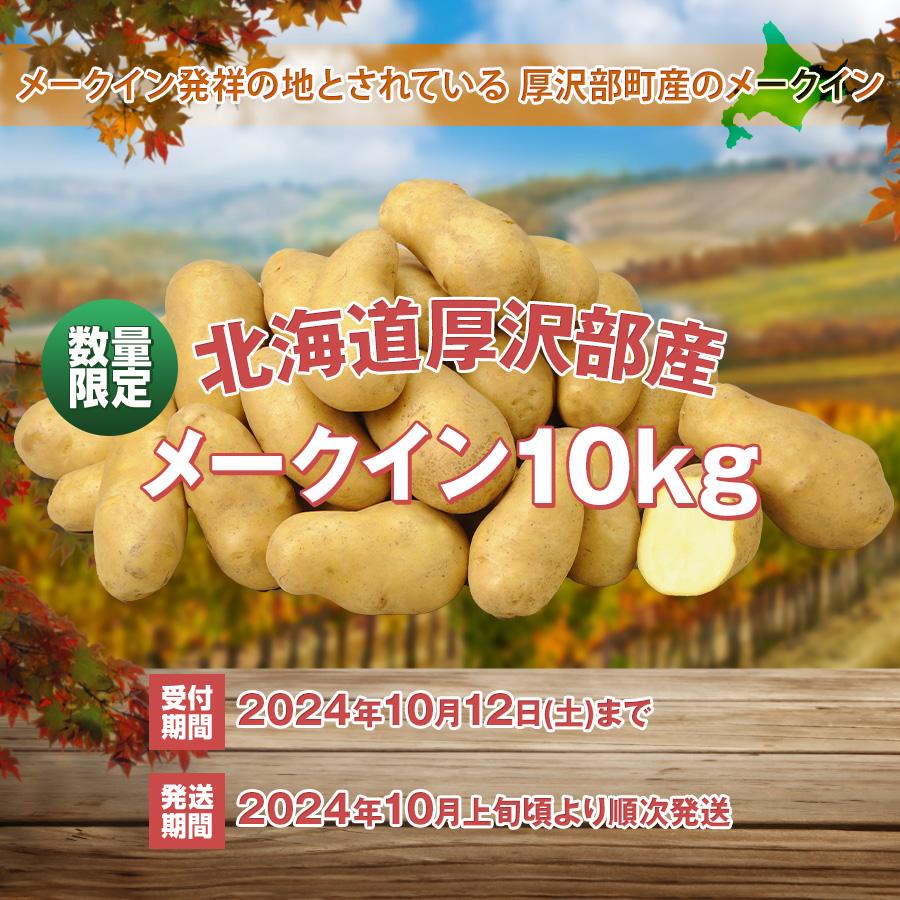 (出荷中) じゃがいも 北海道 メークイン 10kg (2L〜Mサイズ混合) 新じゃがいも 厚沢部 メークイン発祥の地 北海道厚沢部町産 あっさぶ 新じゃが 送料無料 : asb ...