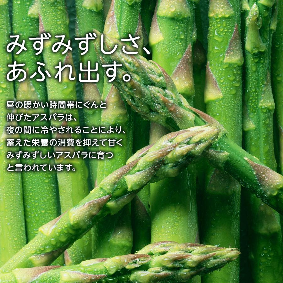 アスパラガス 北海道 グリーンアスパラ 3L 極太 800g 函館つるの生産組合 大槻さんのアスパラガス ハウス栽培 アスパラ : 北海道の美食逸品イランカラプテ - 通販 - Yahoo ...
