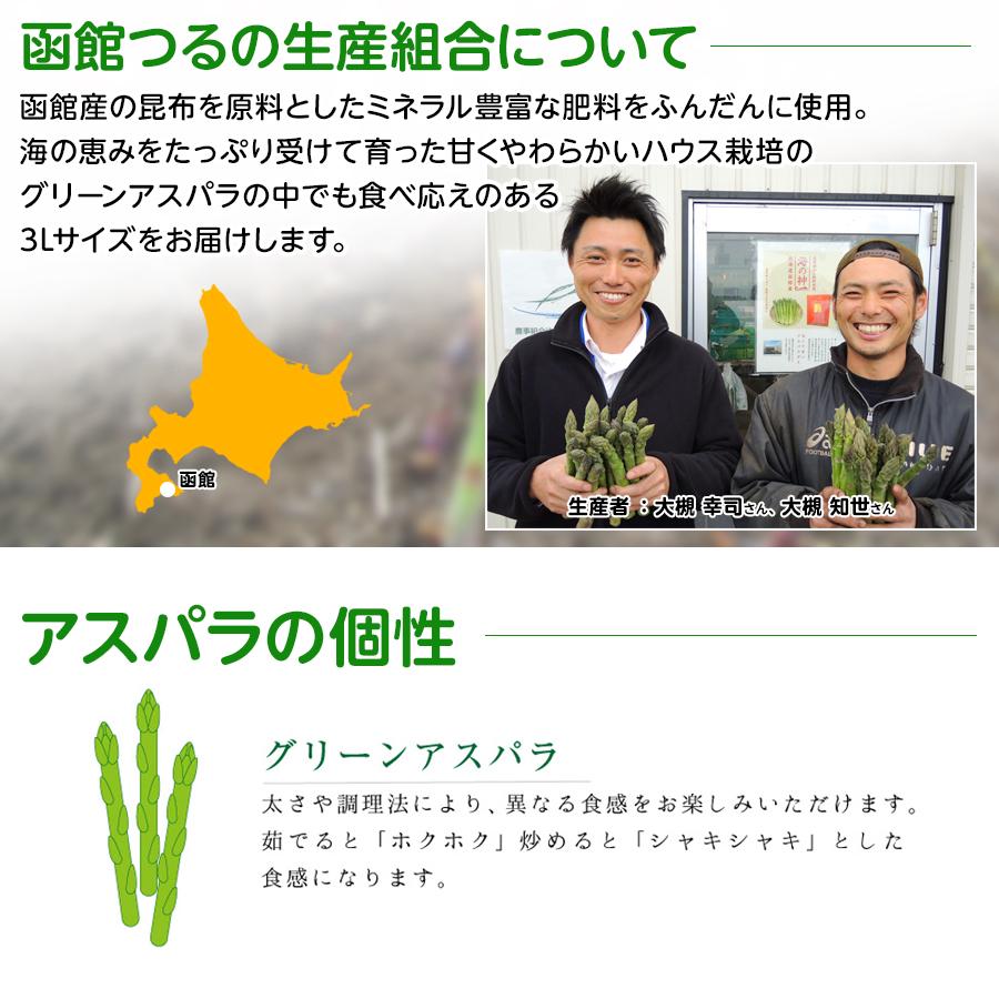 アスパラガス 北海道 グリーンアスパラ 3L 極太 800g 函館つるの生産組合 大槻さんのアスパラガス ハウス栽培 アスパラ : 北海道の美食逸品イランカラプテ - 通販 - Yahoo ...