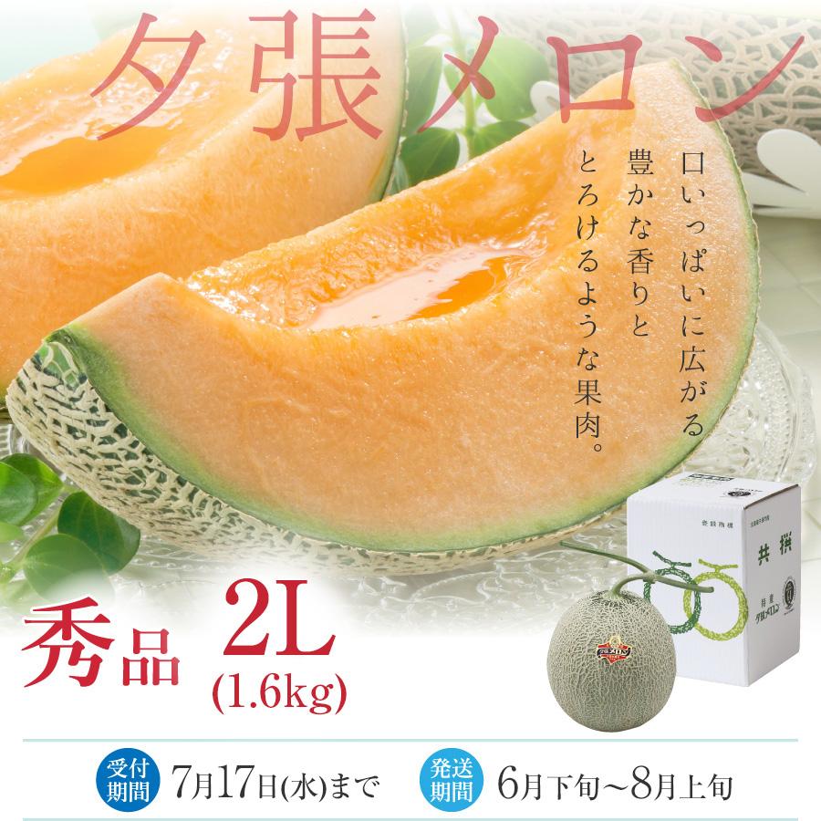 【販売期間終了】お中元 メロン 北海道 夕張メロン 秀品 大玉 2L(約1.6kg) 1玉 お取り寄せ ギフト プレゼント 共撰 夕張農協 合格品 御中元 送料無料 : 北海道の美食逸品イラン ...