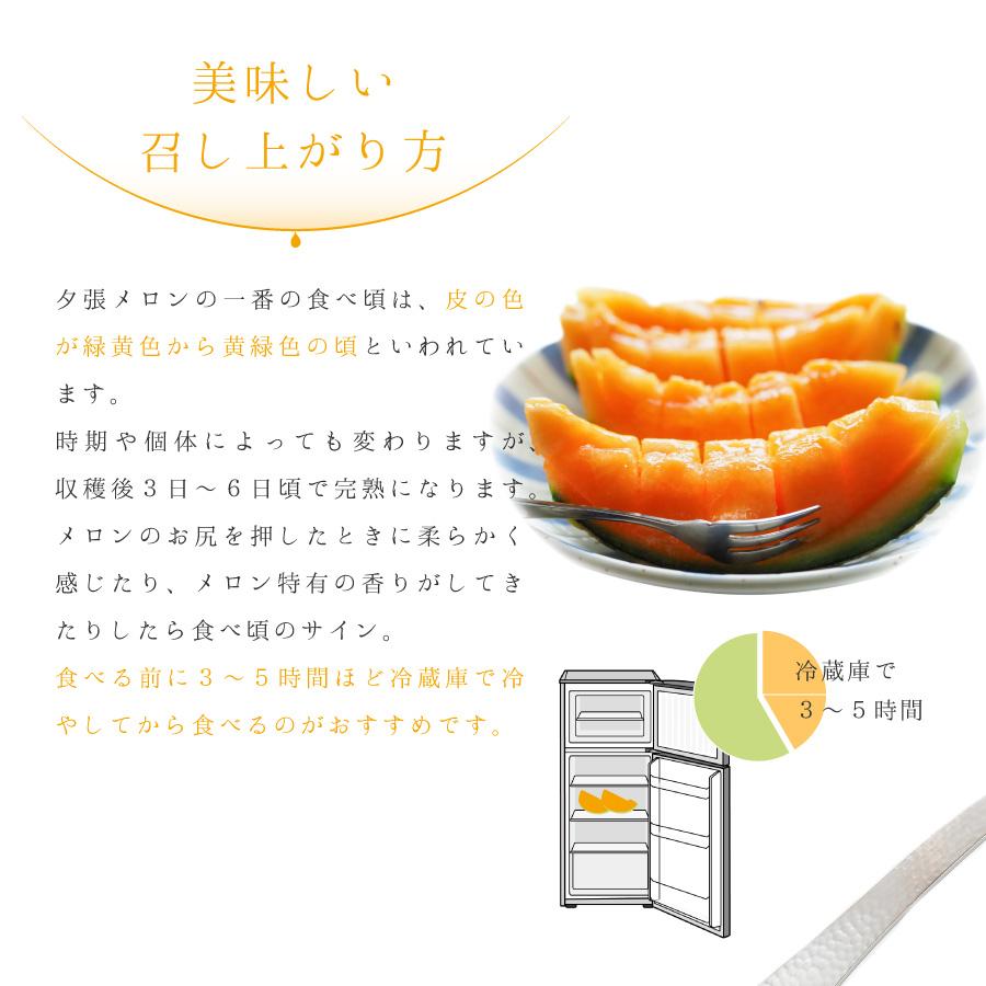 お中元 メロン 北海道 夕張メロン 優品 大玉 2L(約1.6kg) 1玉 お取り寄せ ギフト プレゼント 共撰 夕張農協 合格品 御中元 送料無料 爆買 : 北海道の美食逸品イランカラプテ ...
