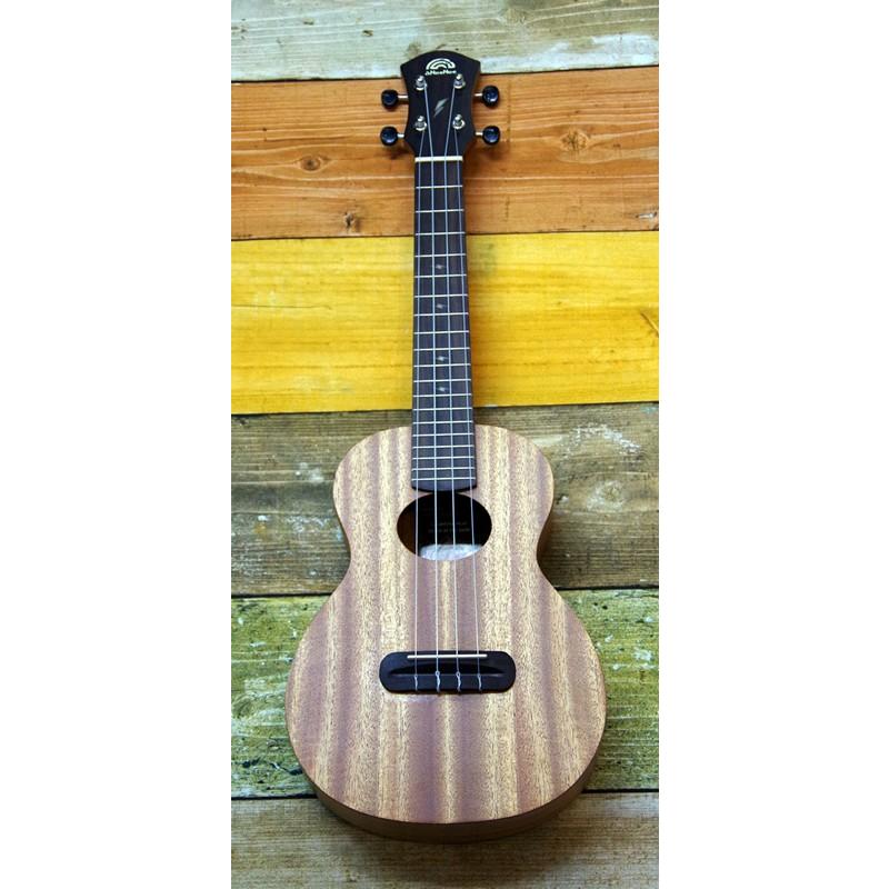 aNueNue RainbowUkulele aNN-TM2 Lumi Thunder Mahogany II : いりなかウクレリアン - 通販 - Yahoo!ショッピング