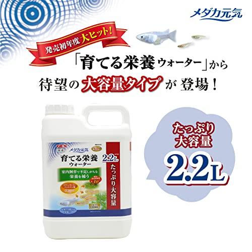 GEX ジェックス メダカ元気 育てる栄養ウォーター 2.2L 室内飼育 毎日の栄養補給 稚魚 大容量 日照不足対策 成長用栄養ウォーター : イリス・ボア - 通販 - Yahoo!ショッピング