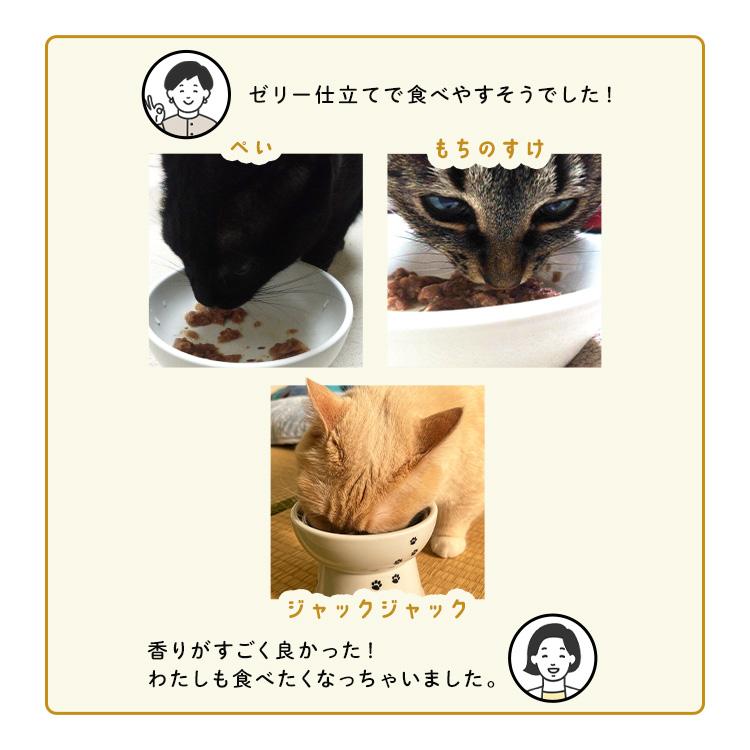 IRIS OHYAMA キャットフード 72P まとめ買い 猫餌 パウチ 猫 ご飯 腎臓 心臓 毛玉 腸 サポート 健康サポート 大容量 まぐろ ささみ 美食メニュー アイリスオーヤマ P ...