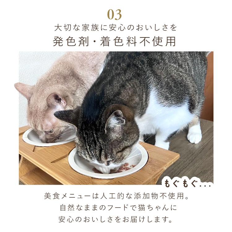 IRIS OHYAMA キャットフード 72P まとめ買い 猫餌 パウチ 猫 ご飯 腎臓 心臓 毛玉 腸 サポート 健康サポート 大容量 まぐろ ささみ 美食メニュー アイリスオーヤマ P ...