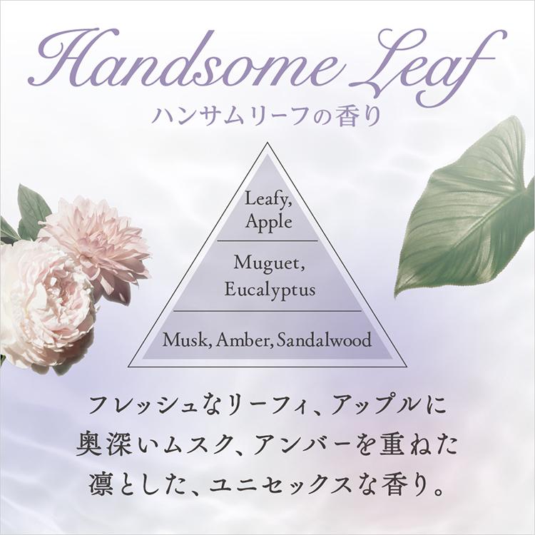 柔軟剤 IROKA 詰め替え 大容量 710ml 詰替え 花王 ハンサムリーフ ナチュラルブリーズ ネイキッドリリー スパウト つめかえ用 :7248886:アイリスプラザ Yahoo!店 ...