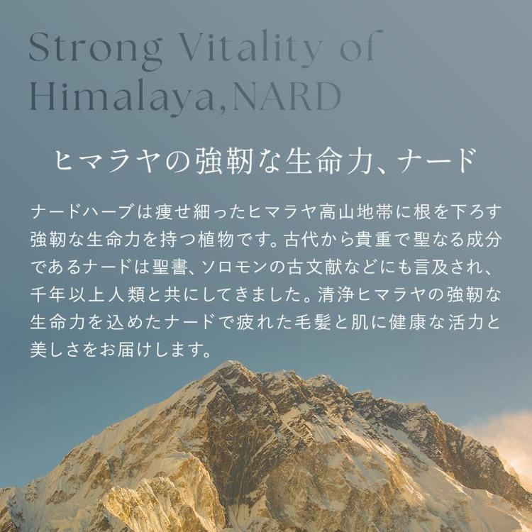 日用消耗品 消耗品Nard シャンプー シグネチャの香り1000ml : アイリスプラザ Yahoo!店 - 通販 - Yahoo!ショッピング