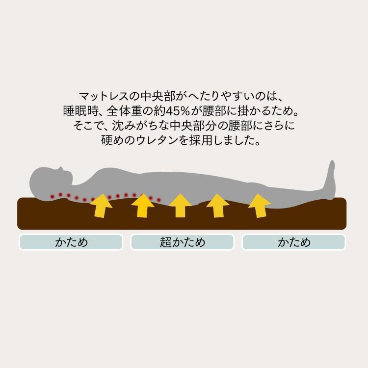 IRIS OHYAMA 折りたたみベッド シングル 電動 ベッド マットレス 折りたたみ 電動ベッド リクライニング 折りたたみ電動 OTB-BDH : アイリスプラザ Yahoo!店 ...