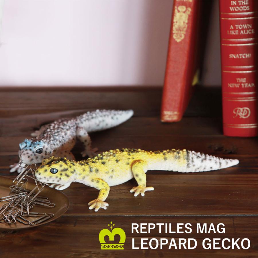 REPTILES MAG レプタイルズマグ ヒョウモントカゲモドキ HIGH YELLOW / MACK SNOW クリップホルダー ...