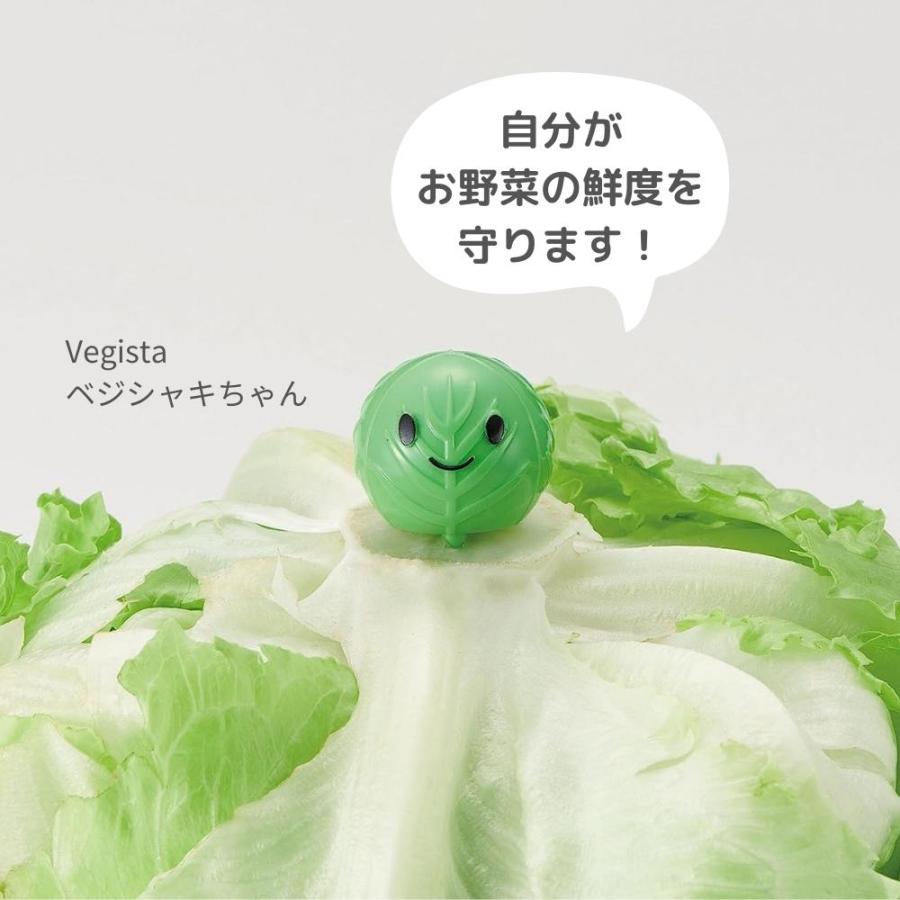 COGIT コジット Vegista ベジシャキちゃん メール便対応 野菜 長持ちさせる キッチンアイテム 鮮度維持 鮮度保持 : 彩り空間ホームライフ館 - 通販 - Yahoo!ショッピング