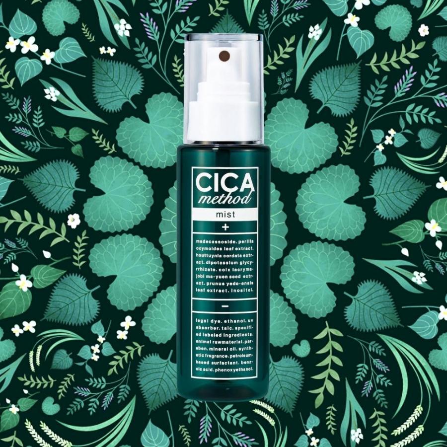 COGIT CICA シカ メゾット ミスト 美容液ミスト 100ml 化粧水 コスメ 韓国 日本製 スキンケア メイク直し メール便 : 彩り空間ホームライフ館 - 通販 - Yahoo ...