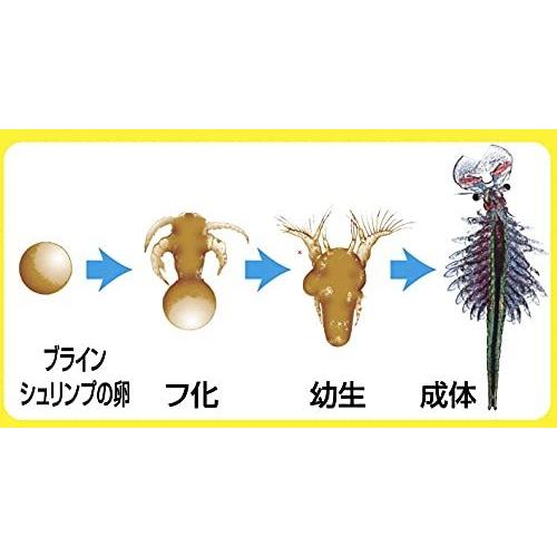 テトラ ブラインシュリンプエッグス20cc : いろ色通販 Abcolor - 通販 - Yahoo!ショッピング