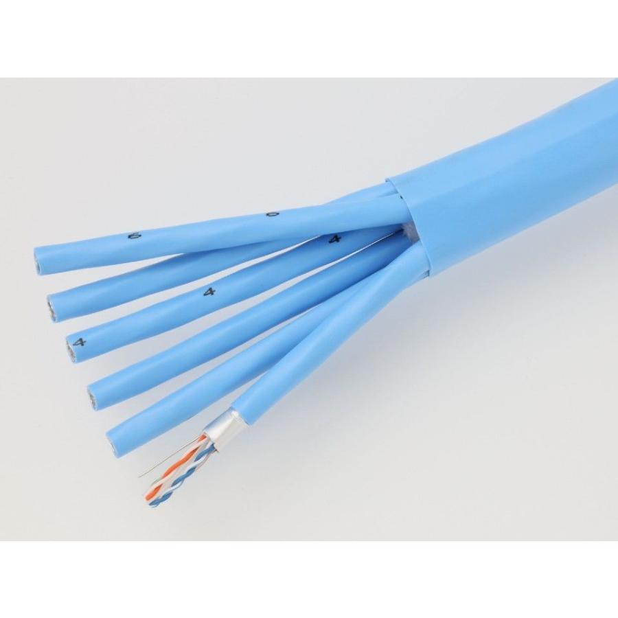 cat6 UTPケーブル 日本製線 SB 水色 300m巻 2巻(0.5×4P cat6 UTPケーブル 日本製線 SB 水色 300m巻 2巻(0.5×4P