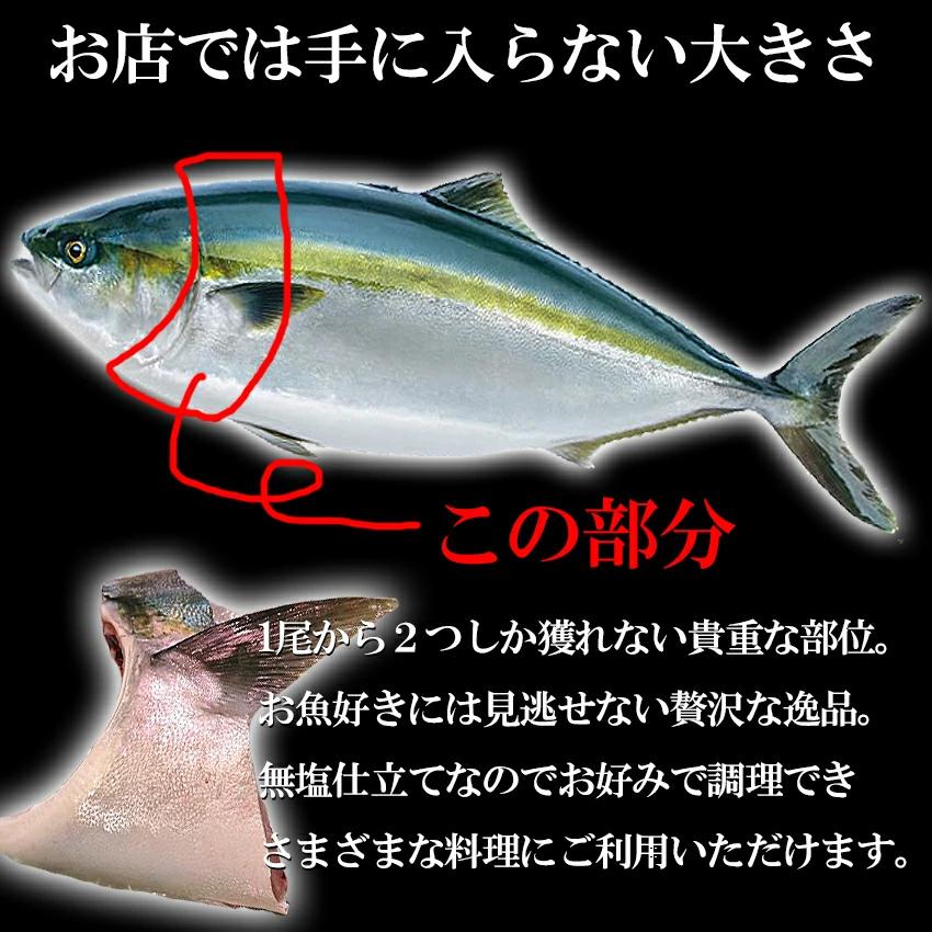 あら煮 が 旨い 無塩 仕上げ ぶりカマ 1kg入 送料無料 ぶり かま ブリ カマ : 海鮮いさりび本舗 - 通販 - Yahoo!ショッピング
