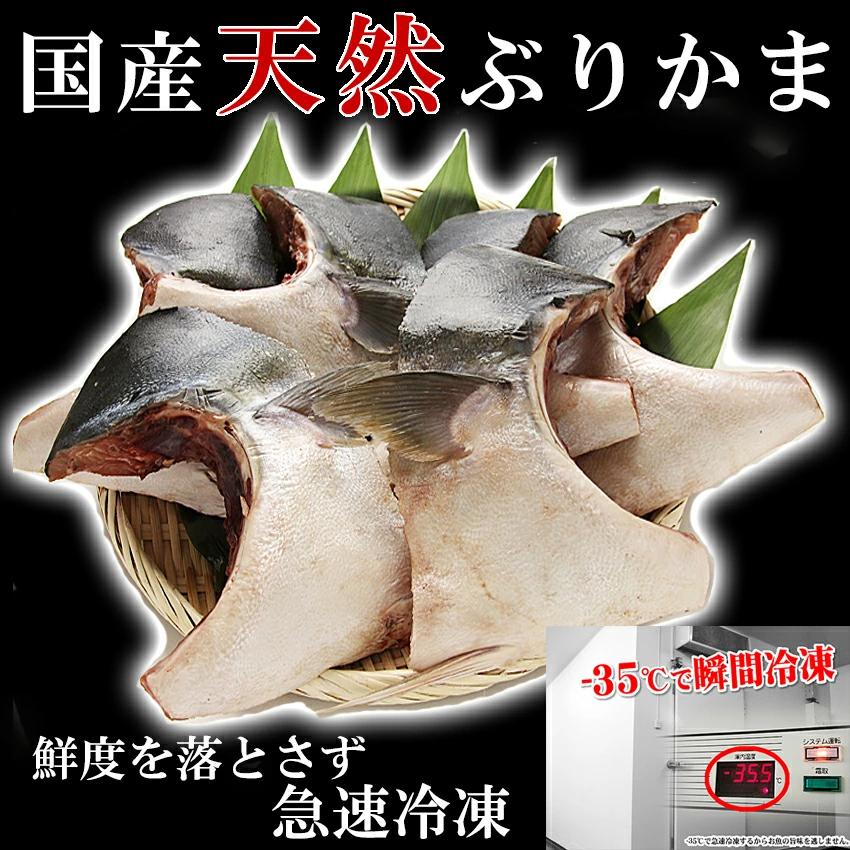 あら煮 が 旨い 無塩 仕上げ ぶりカマ 1kg入 送料無料 ぶり かま ブリ カマ : 海鮮いさりび本舗 - 通販 - Yahoo!ショッピング