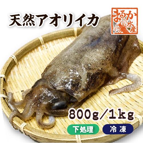 天然アオリイカ 国産 Lサイズ 800g/1kg 冷凍[魚介類] : まるか水産Yahoo!店 - 通販 - Yahoo!ショッピング