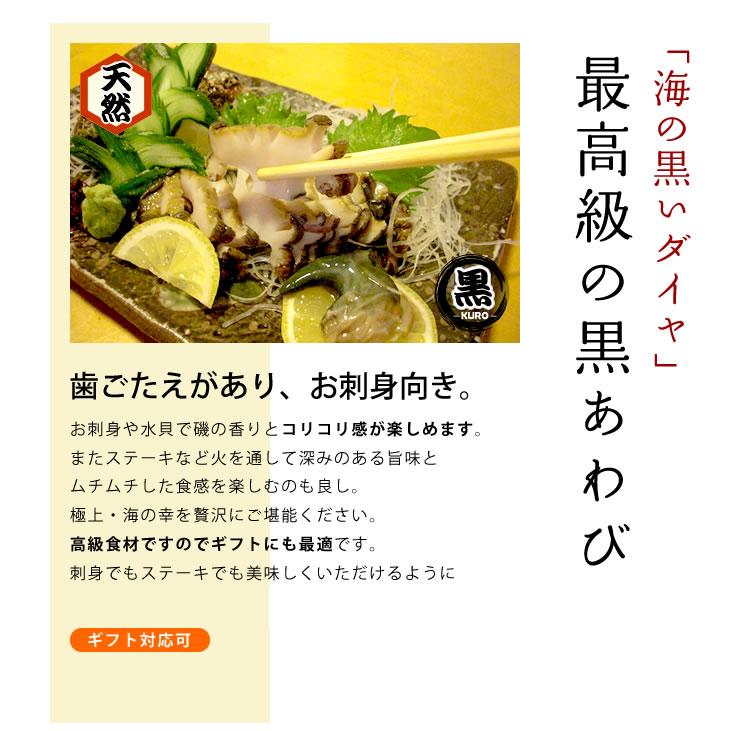天然黒あわび SSサイズ 120〜140g 1枚 [あわび] : まるか水産Yahoo!店 - 通販 - Yahoo!ショッピング