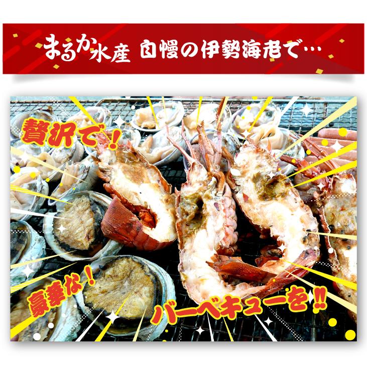 BBQ用 冷凍伊勢海老 200〜230g Mサイズ ハーフカット [活〆伊勢海老]（入数:1尾2切） : まるか水産Yahoo!店 - 通販 - Yahoo!ショッピング
