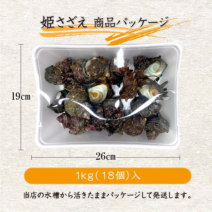 天然活 姫さざえ 少々サイズ 1kg 18個 40〜60g [さざえ] : まるか水産Yahoo!店 - 通販 - Yahoo!ショッピング
