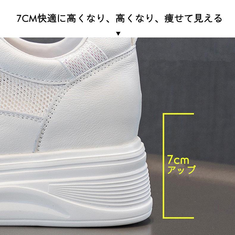 インヒールスニーカー スニーカー レディース 厚底 7cm レースアップ