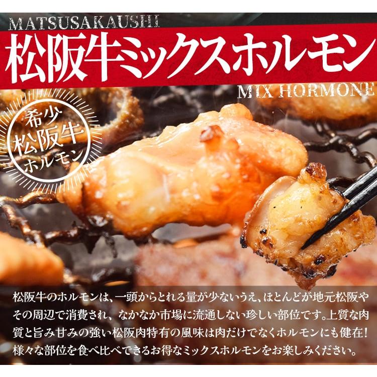 松阪牛 肉王 焼肉 BBQ 豪華 詰め合わせ 8種 A5ランク厳選 合計1．6kg以上 焼肉セット ステーキセット ミックスホルモン ハンバーグ 牛タンスライス : 伊勢鳥羽志摩特産横丁 ...