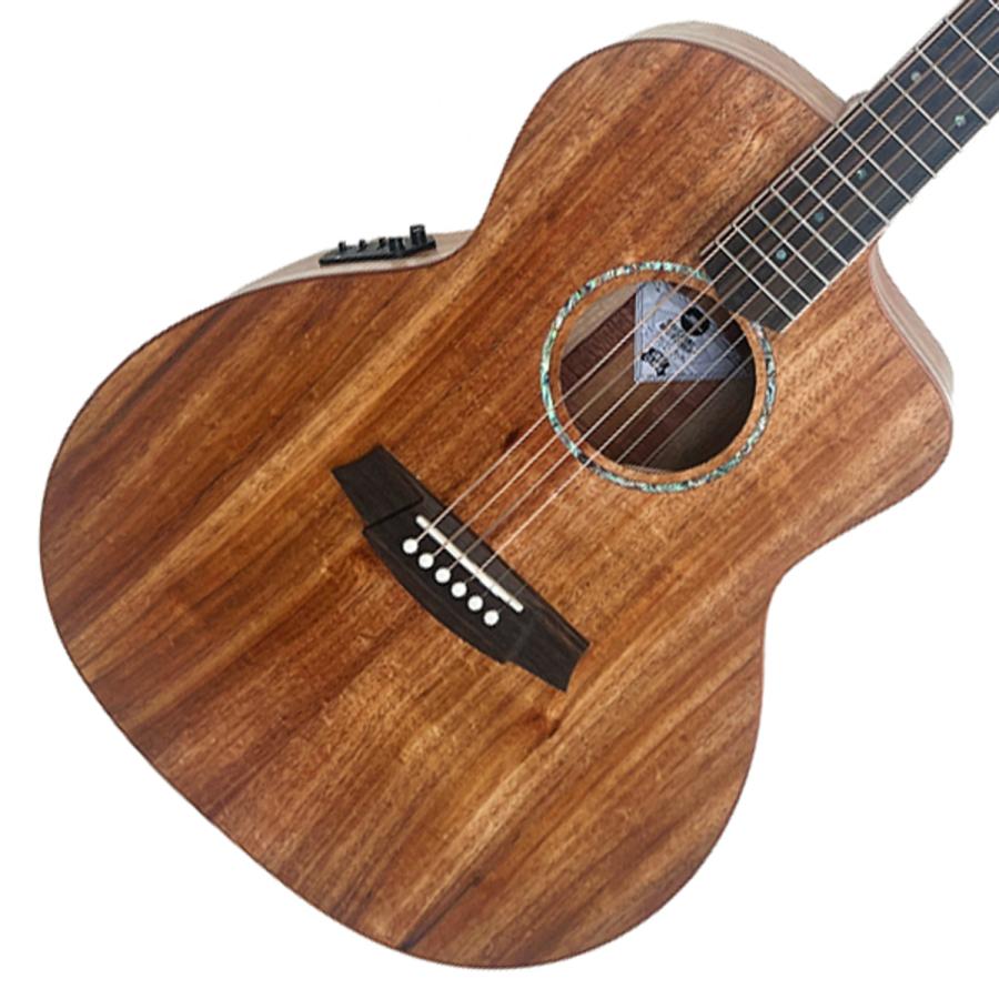 Cole Clark / AN Grand Auditorium Series CCSAN1EC-BLBL All Blackwood ...