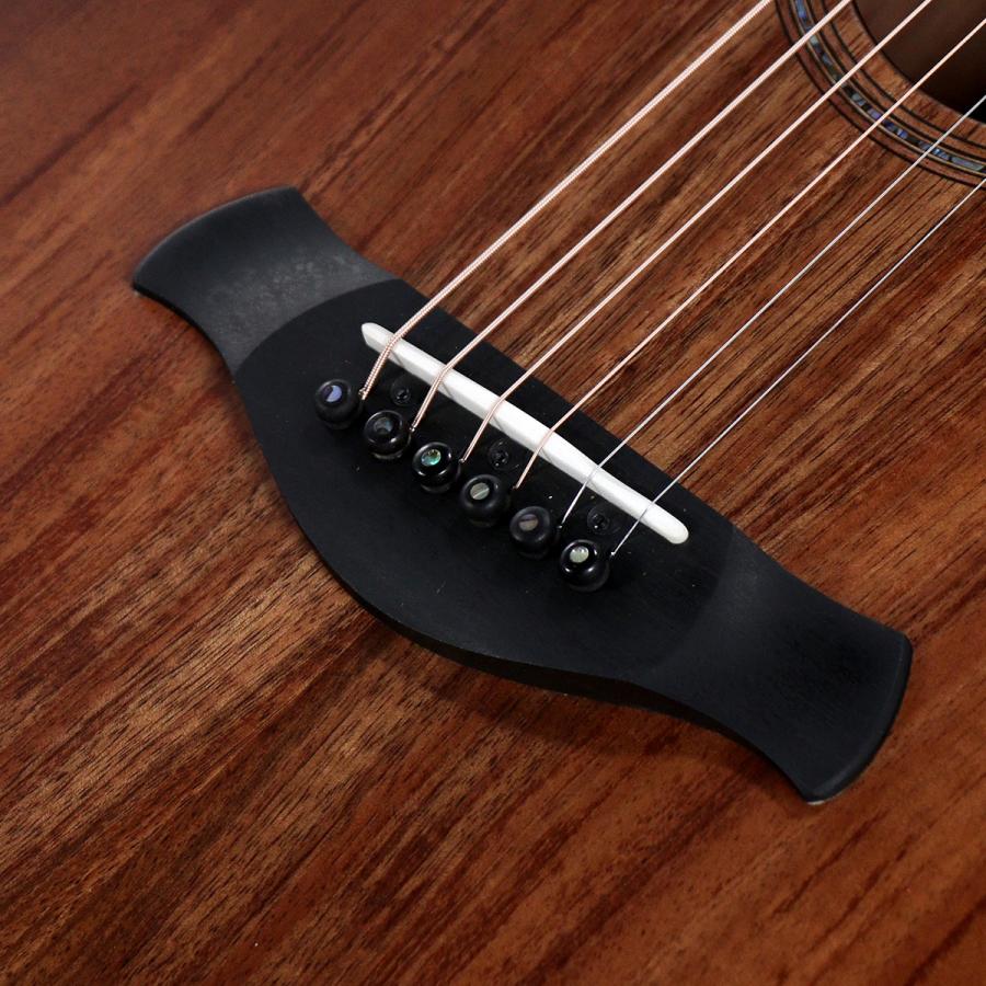 Taylor / Builder's Edition K24ce V-Class(重量:2.28kg)(S/N:1208153103)(渋谷店) :05-0bbu10kh2-3103:イシバシ ...