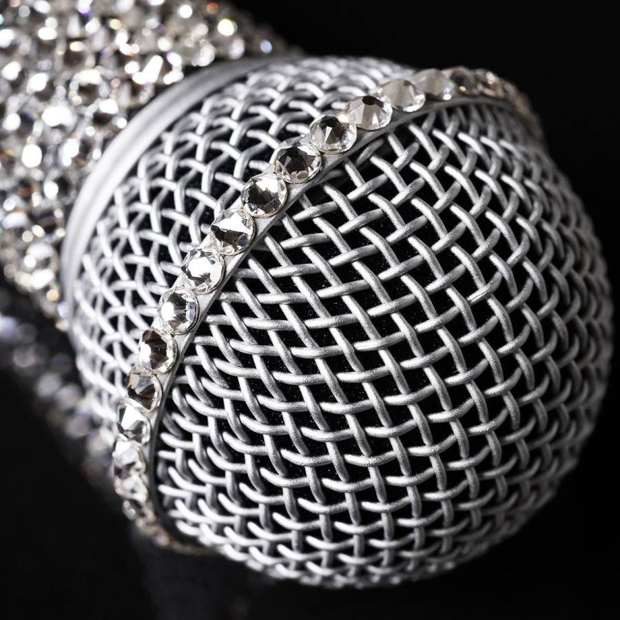 SHURE / SM58-LCE LUXURY CUSTOM(世界で1本のスペシャルカスタム)(渋谷店) : イシバシ楽器 17ショップス ...