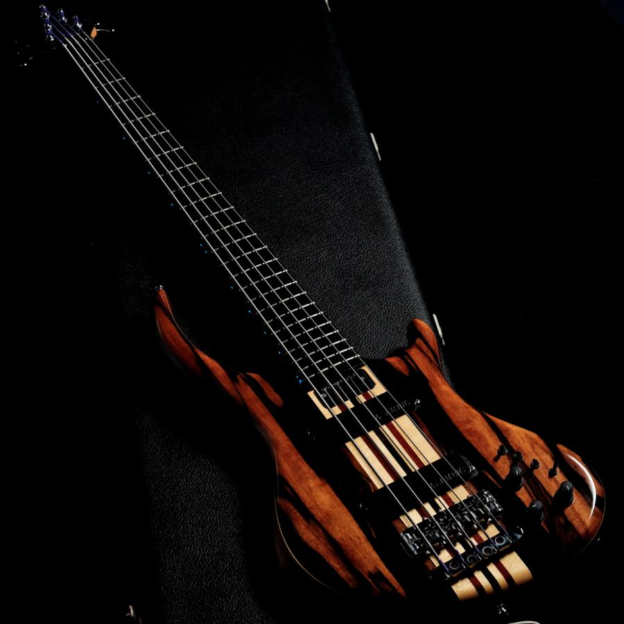 (中古)ALEMBIC / ROGUE 5 CUSTOM (渋谷店) : イシバシ楽器 17ショップス - 通販 - Yahoo!ショッピング