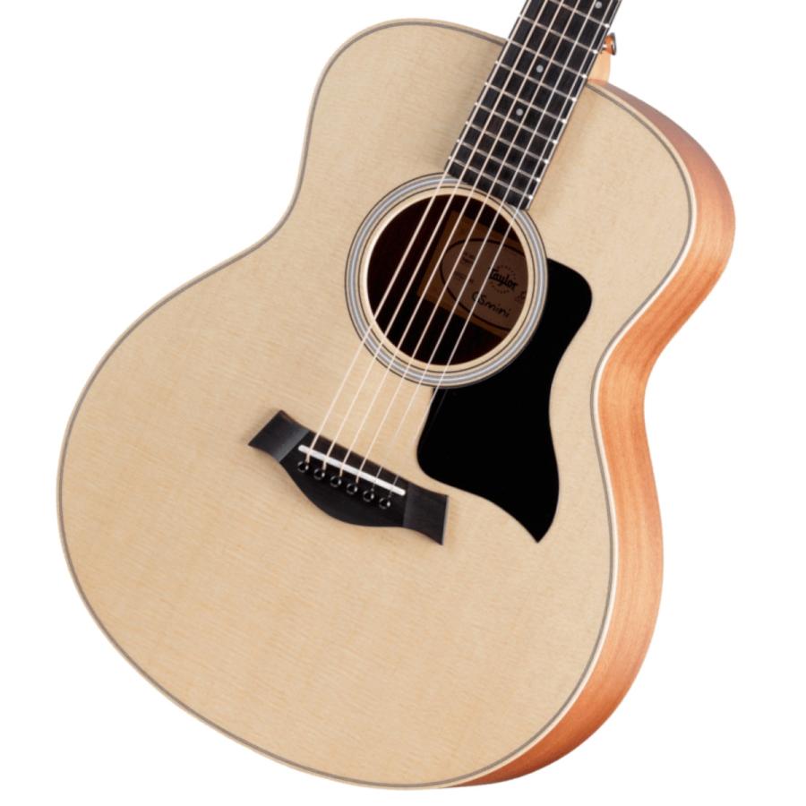 Taylor / GS Mini Sitka Spruce Top /Sapele S&B (トラベルサイズ定番人気！)テイラー : イシバシ ...