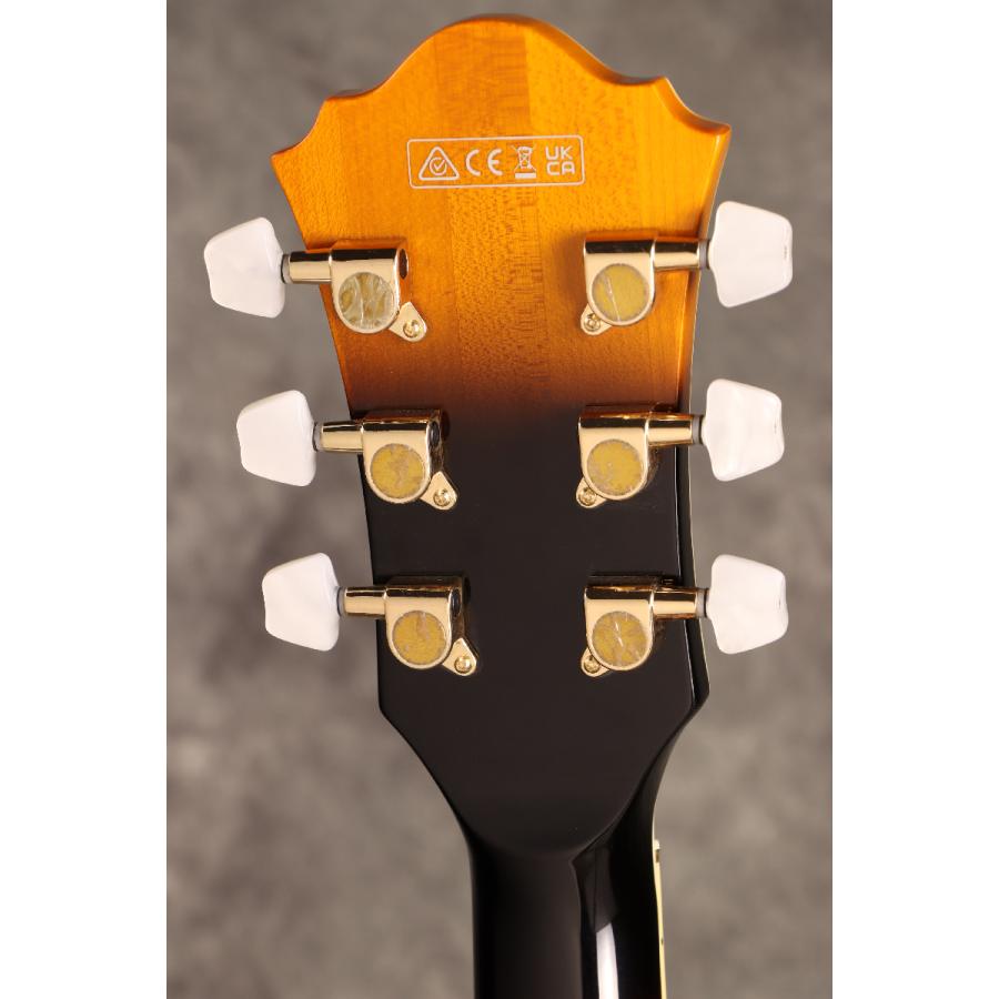 Ibanez / GB10SE-BS George Benson Signature Model Brown Sunburst(2.94kg)(S/N PW24090224)(アウトレット ...