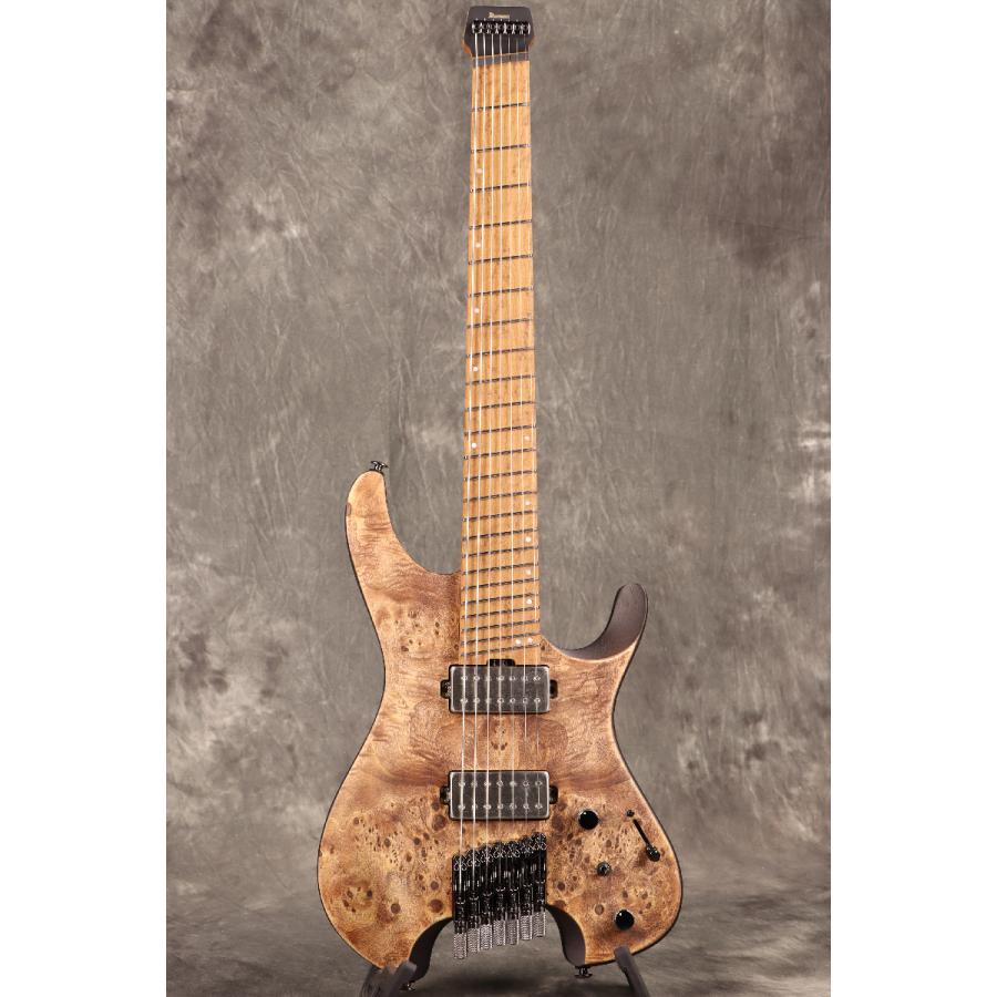 Ibanez / QX527PB-ABS Antique Brown Stained (2.28kg)(2024製)(実物画像/未展示品)(S/N:I241001596)(YRK ...