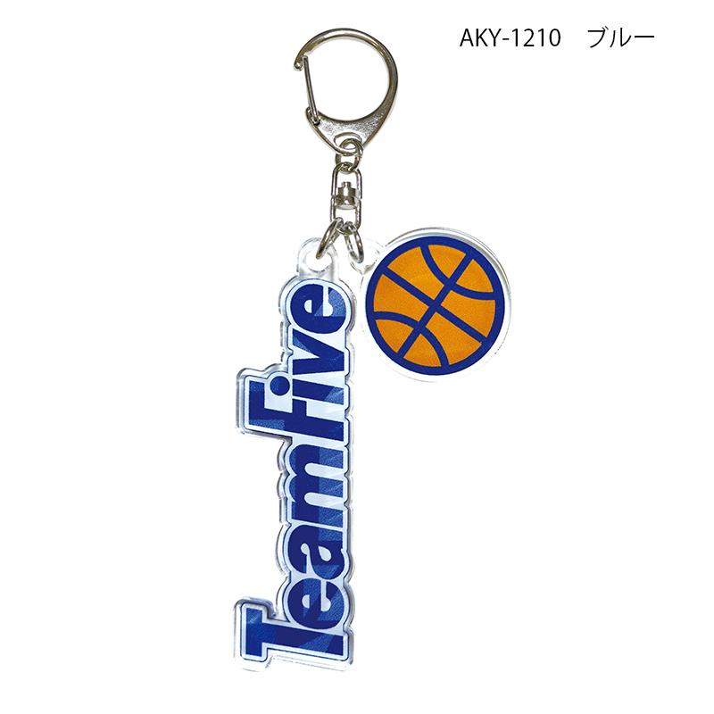 TeamFive チームファイブ ネームタグキーホルダー AKY-1205 AKY-1210 AKY-1211 : イシダスポーツ - 通販 - Yahoo!ショッピング