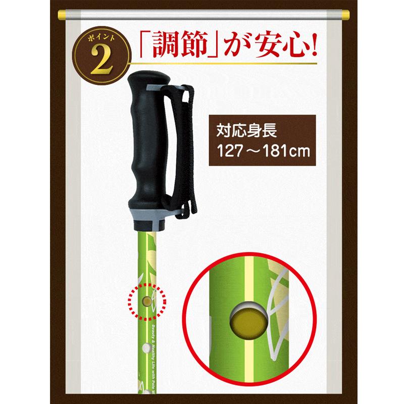 SINANO シナノ もっと安心2本杖 (対応身長127〜181cm) 日本製 杖 ステッキ 二本杖 歩行 ウォーキング 散歩 外出 旅行 観光 :mottoanshin2hondue:イシダ ...