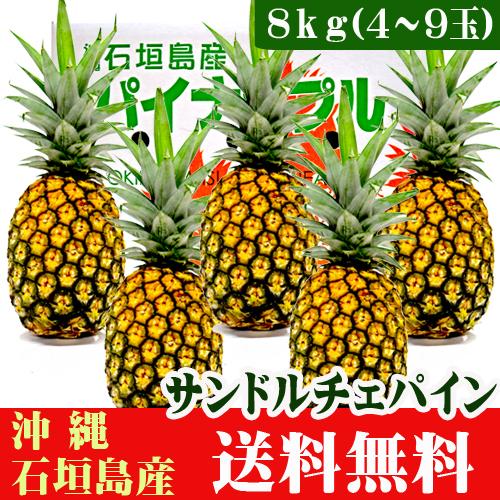 石垣島産サンドルチェ (沖農P17 ) 8kg(4〜9玉) 送料無料 : 果物と島野菜の店-石垣島農家隊 - 通販 - Yahoo!ショッピング