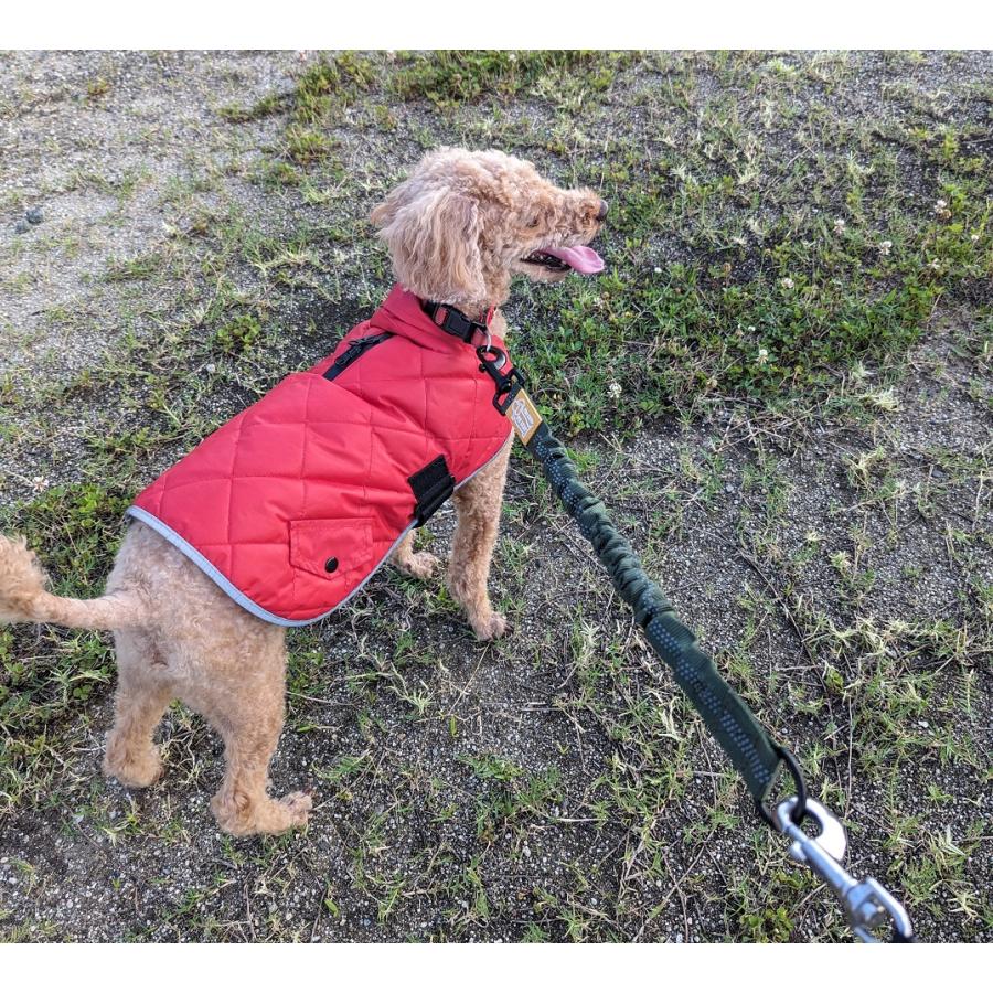 (The Little Dog Star) 犬用 延長リード バンジー・アンチショック・エクステンダー 衝撃吸収 ショック軽減 フレキシなどの ...