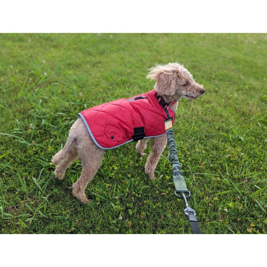 (The Little Dog Star) 犬用 延長リード バンジー・アンチショック・エクステンダー 衝撃吸収 ショック軽減 フレキシなどの ...