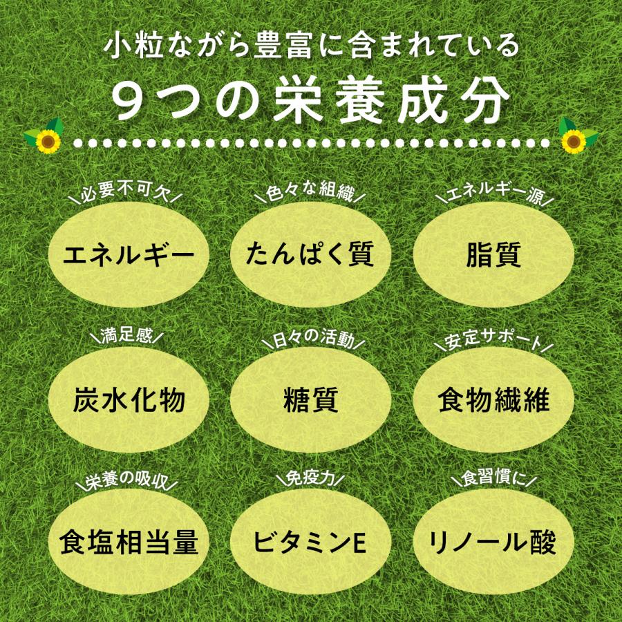 医食同源ドットコム HOME RUN ひまわり（キャラメル味） / ひまわりの種 ひまわり スナック キャラメル お菓子 菓子 おつまみ パン サラダ 焼き菓子 コーンフレーク おやつ ...