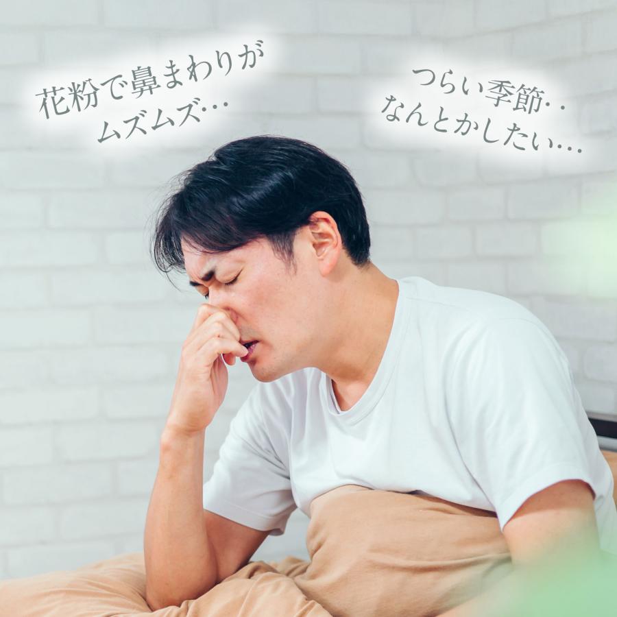 医食同源ドットコム ISDG 花粉マスク 夜用 30枚 / マスク 不織布マスク 花粉対策 高機能フィルター ウイルス飛まつ対策 黄砂対策 PM2.5対策 ノーズスポンジワイヤー 当日発送 ...