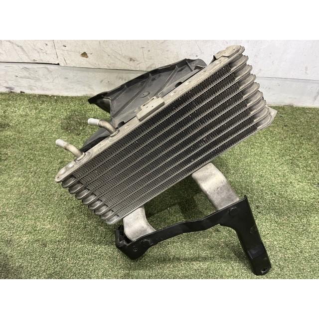 レクサス RX DBA-AGL20W オイルクーラー RX300 Fスポーツ 083 811081 : 石川商店自動車中古パーツネット店 ...