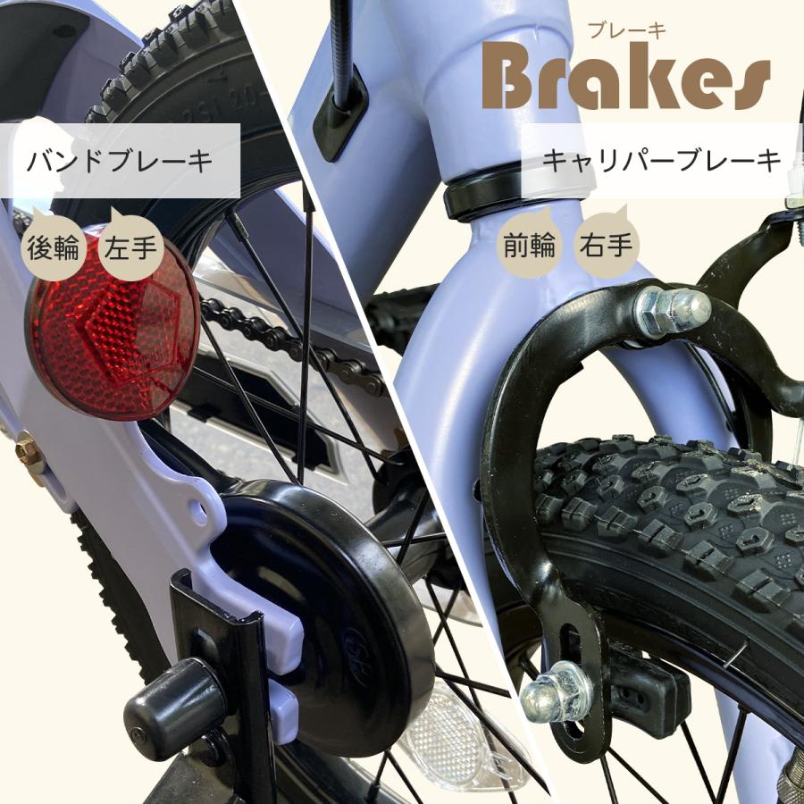 EIZER（アイゼル） 子供用 自転車 Ravi ラビ 14インチ 16インチ 18インチ 補助輪付き 約7kg 軽い おしゃれ 誕生日プレゼント 4歳 5歳 6歳 7歳 8歳 9歳 10歳 ...