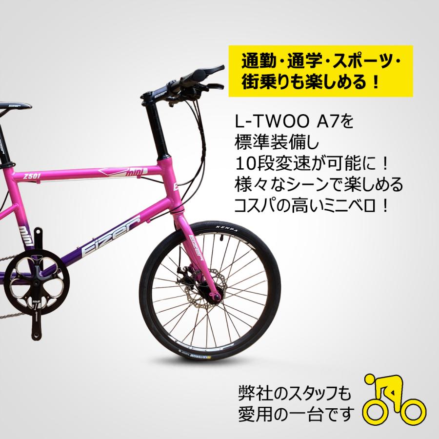 ミニベロ 軽量 20インチ 自転車 小径車 10段変速 コンパクト Wディスクブレーキ バーエンドバー付 EIZER アイゼル Z501 : sz-z501 : 自転車の一勝堂 - 通販 ...
