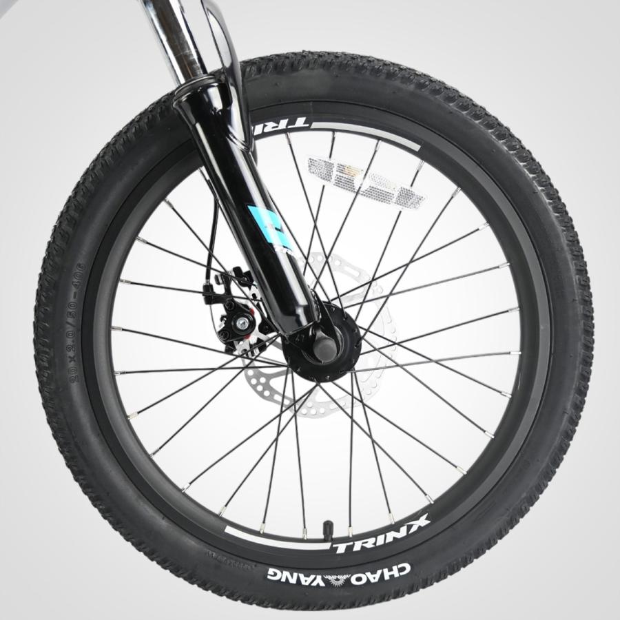子ども用自転車 20インチ マウンテンバイク MTB ダブルディスク 子ども用自転車 20インチ マウンテンバイク MTB ダブルディスク