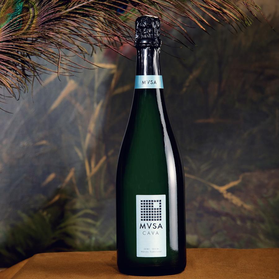 ヴァルフォルモッサ カヴァ ムッサ・セミセコ 750ml 2本 白・泡 スペイン ペネデス : 逸酒創伝 弐号店 - 通販 - Yahoo ...