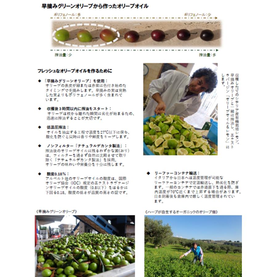 アルベルトさんのEXVオリーブオイル MITSUYO 458g 1本 エキストラバージンオリーブオイル ミツヨ : 逸酒創伝 - 通販 - Yahoo!ショッピング