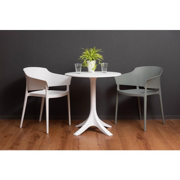 東谷 東谷 ダイニングチェア アームチェア CL-485LGR W56.5×D53×H78×SH46 5kg 完成品 静的耐荷重：80kg 中国 ライトグリーン : isuka - 通販 ...