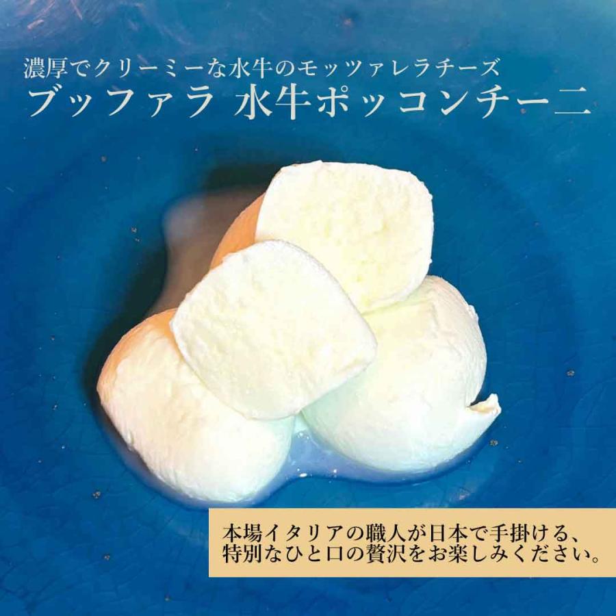 チーズ 水牛 の ボッコンチーニ ブッファラ 132g ファットリアビオ北海道 日本産 国産 モッツァレラ 一口サイズ ナチュラルチーズ : イタリア屋タニーチャ2 - 通販 - Yahoo ...